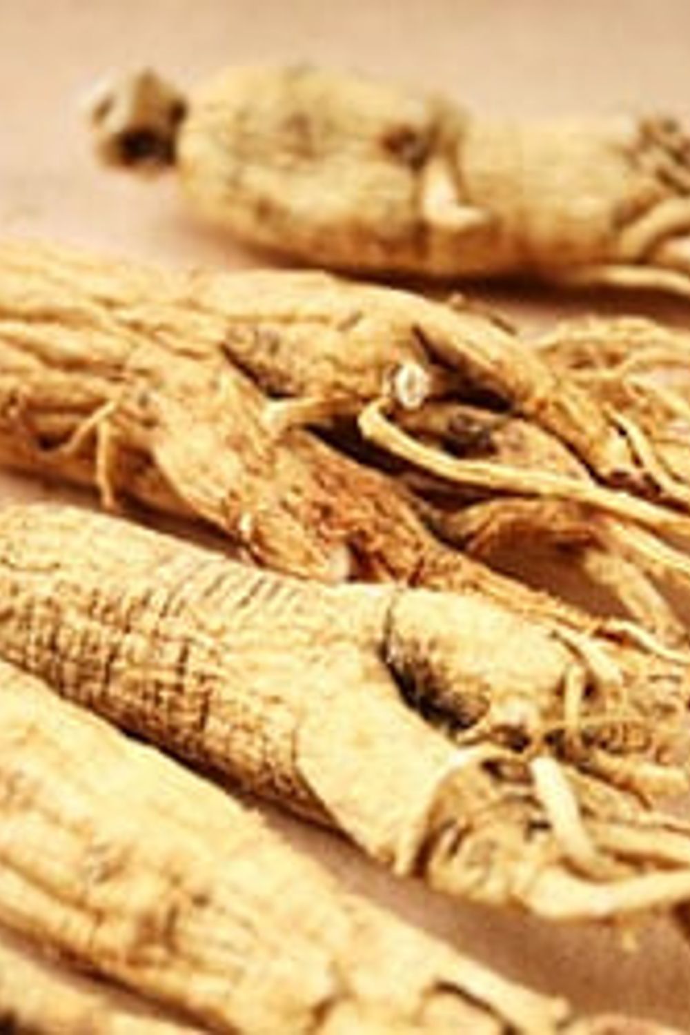 Ginseng kaufen: Für Energie & Vitalität | VitaminExpress