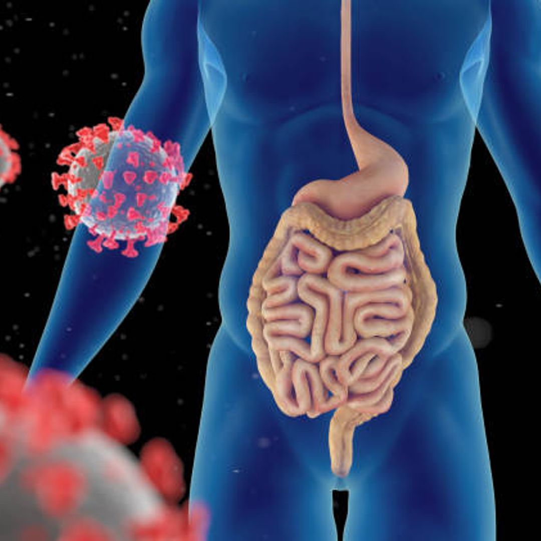 Darm und Immunsystem: Wie der Darm schützt | VitaminExpress