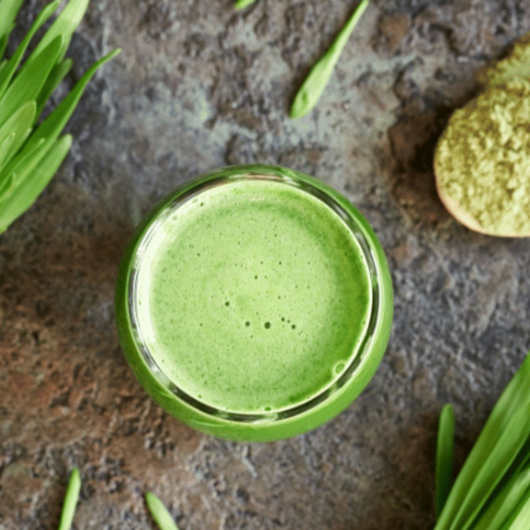 5 differences between grass powders and grass powders | Purasana