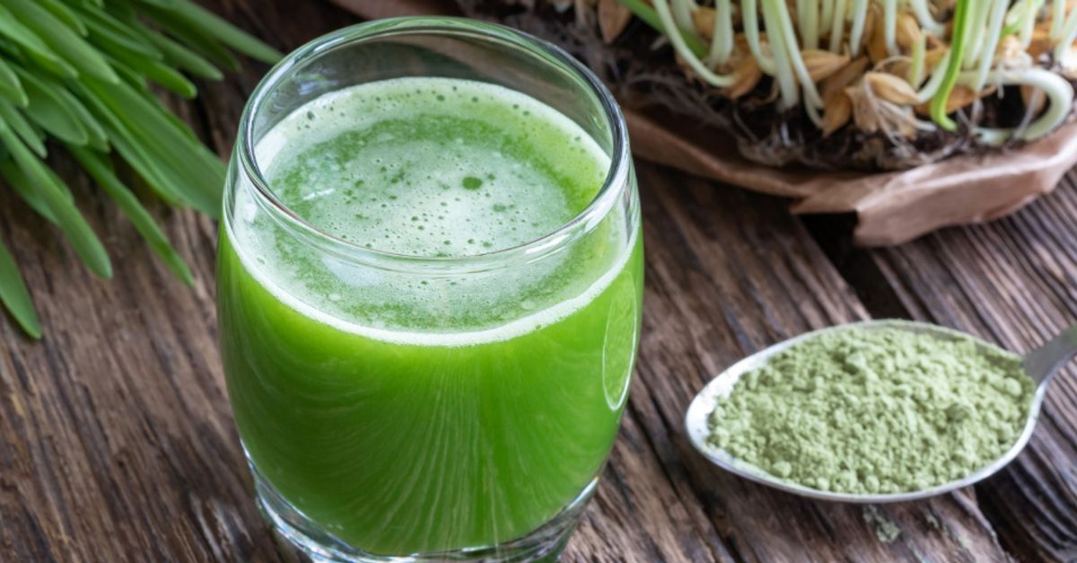 What is the difference between wheatgrass and barley grass? | Green ...