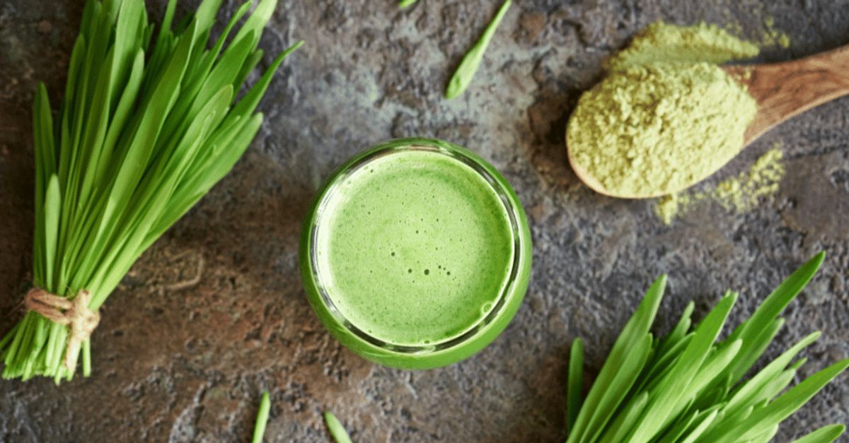 5 differences between grass powders and grass powders | Purasana